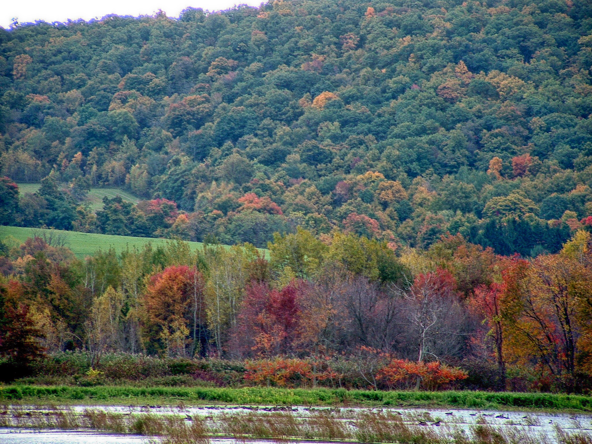 Walkill River National Wildlife Refuge: Liberty Loop Trail | National ...