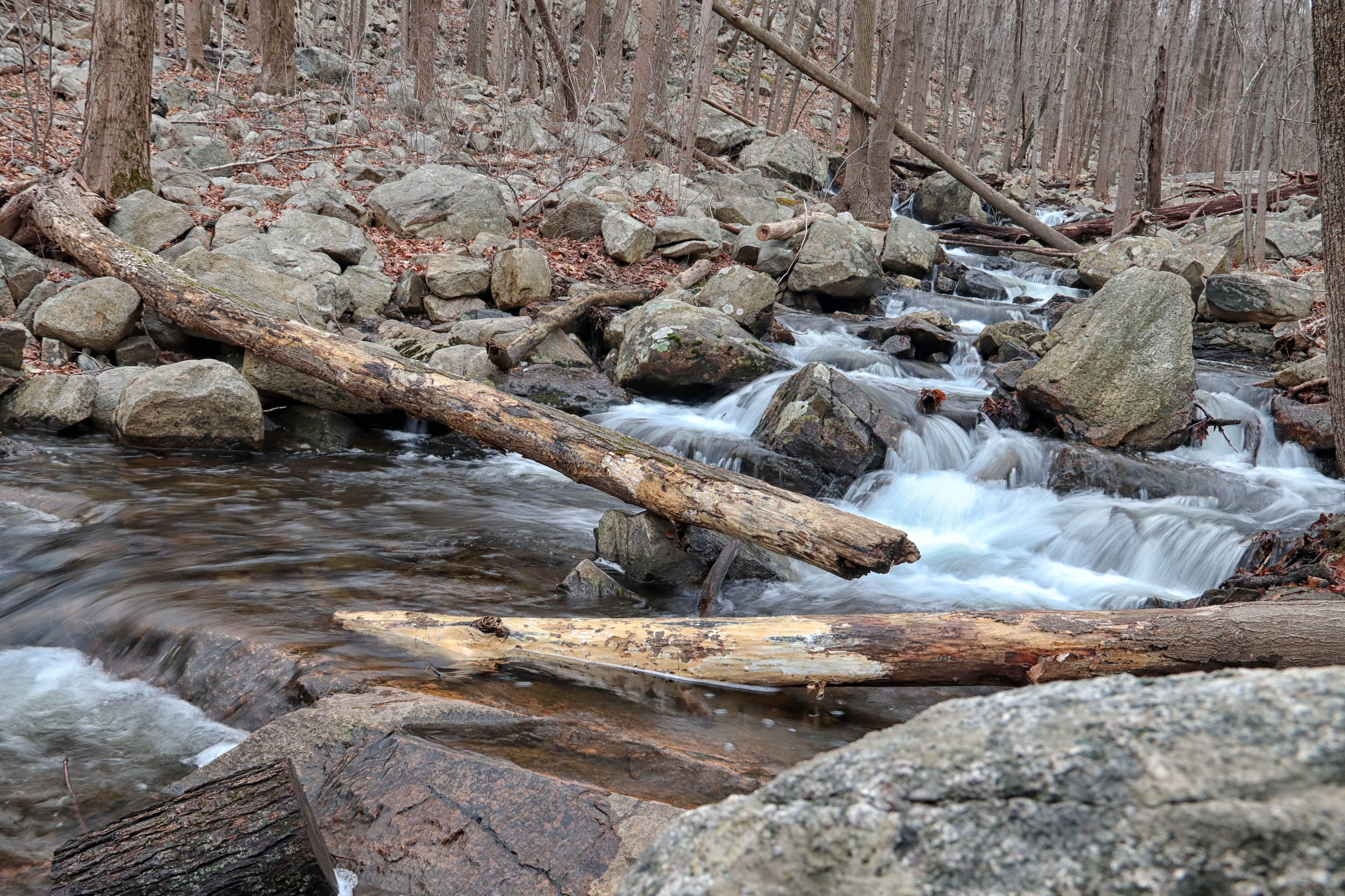 Ramapo Mountain State Forest | National Parks USA