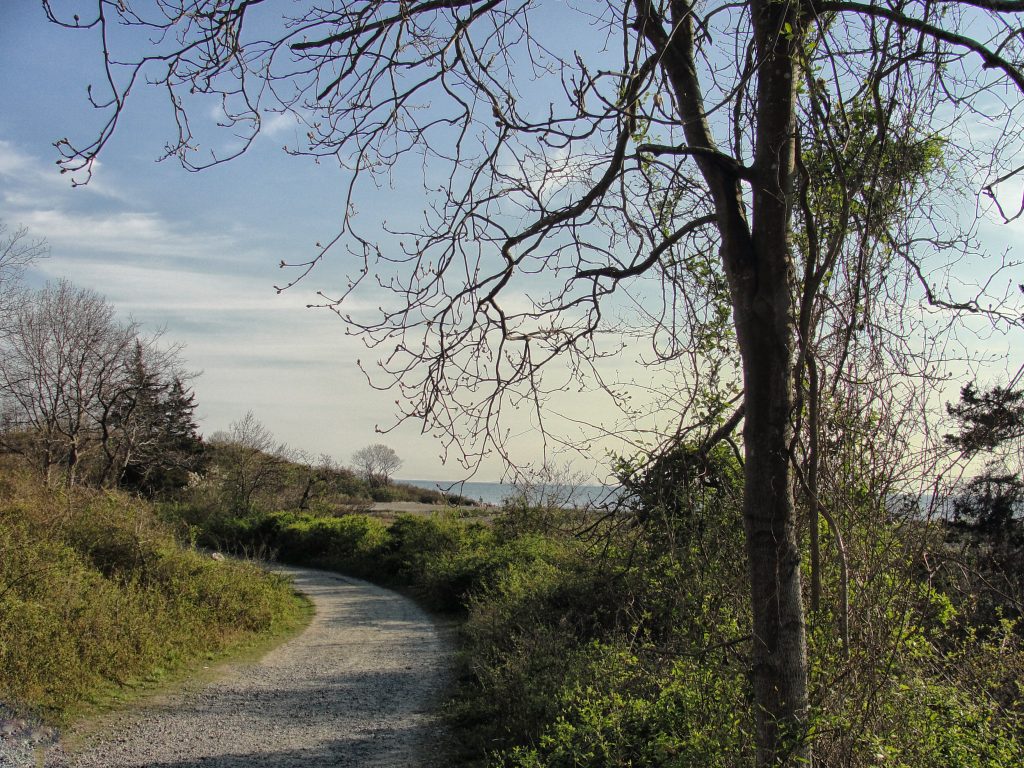 Bluff Point State Park - National Parks With T