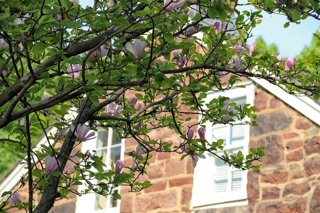 Hamilton House Museum - National Parks With T