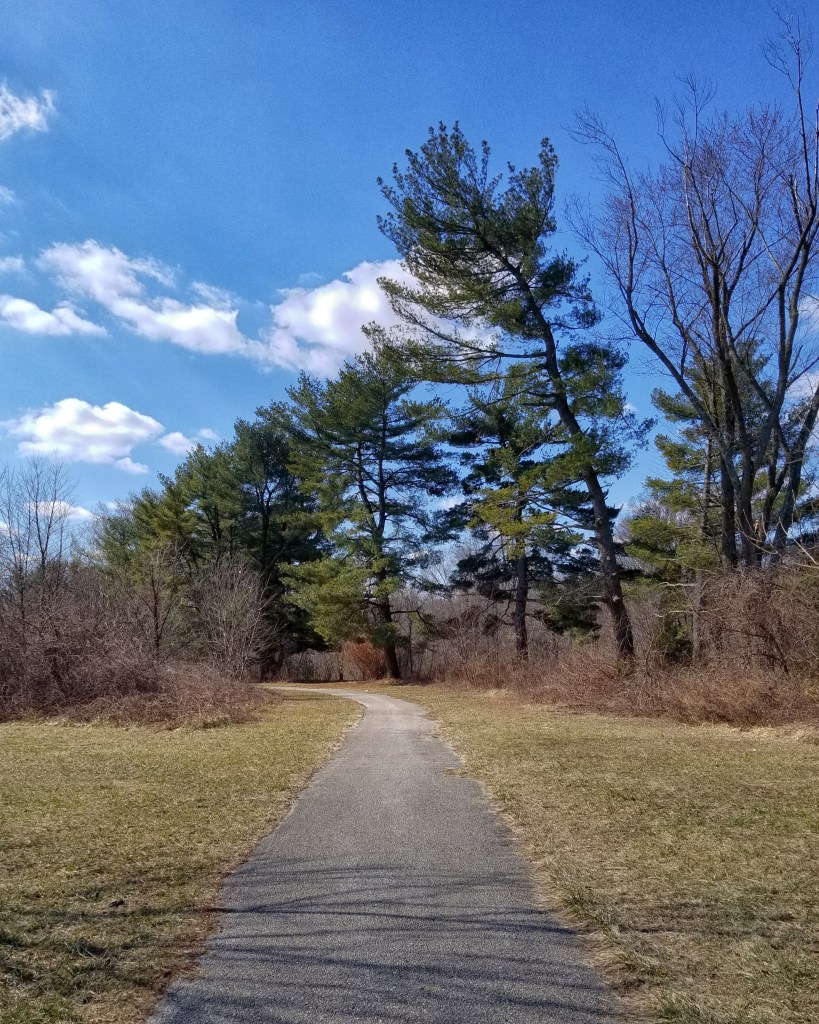 Tall Pines State Preserve - National Parks With T