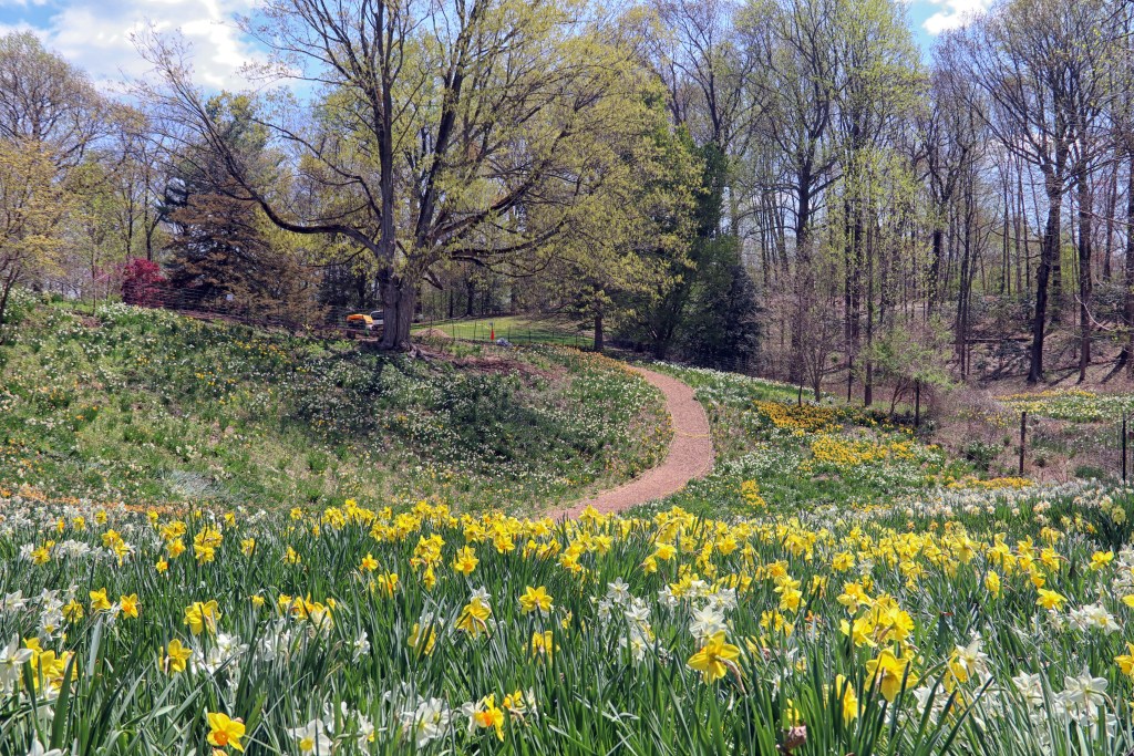Reeves-Reed Arboretum - National Parks With T