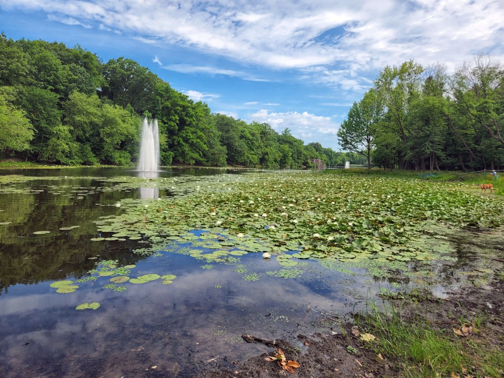 Garret Mountain Reservation - National Parks With T