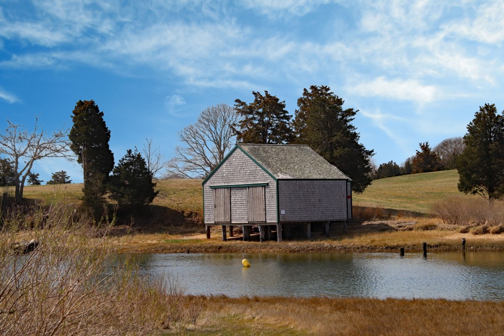 Cape Cod National Seashore: Nauset Marsh Trail - National Parks With T
